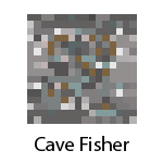 Cave Fisher