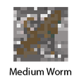 Worms